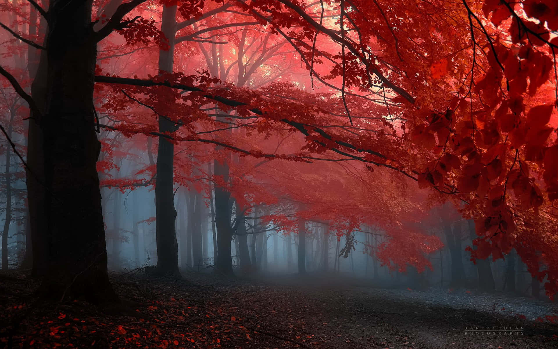 Red Fog Wallpapers - Wallpaper Cave