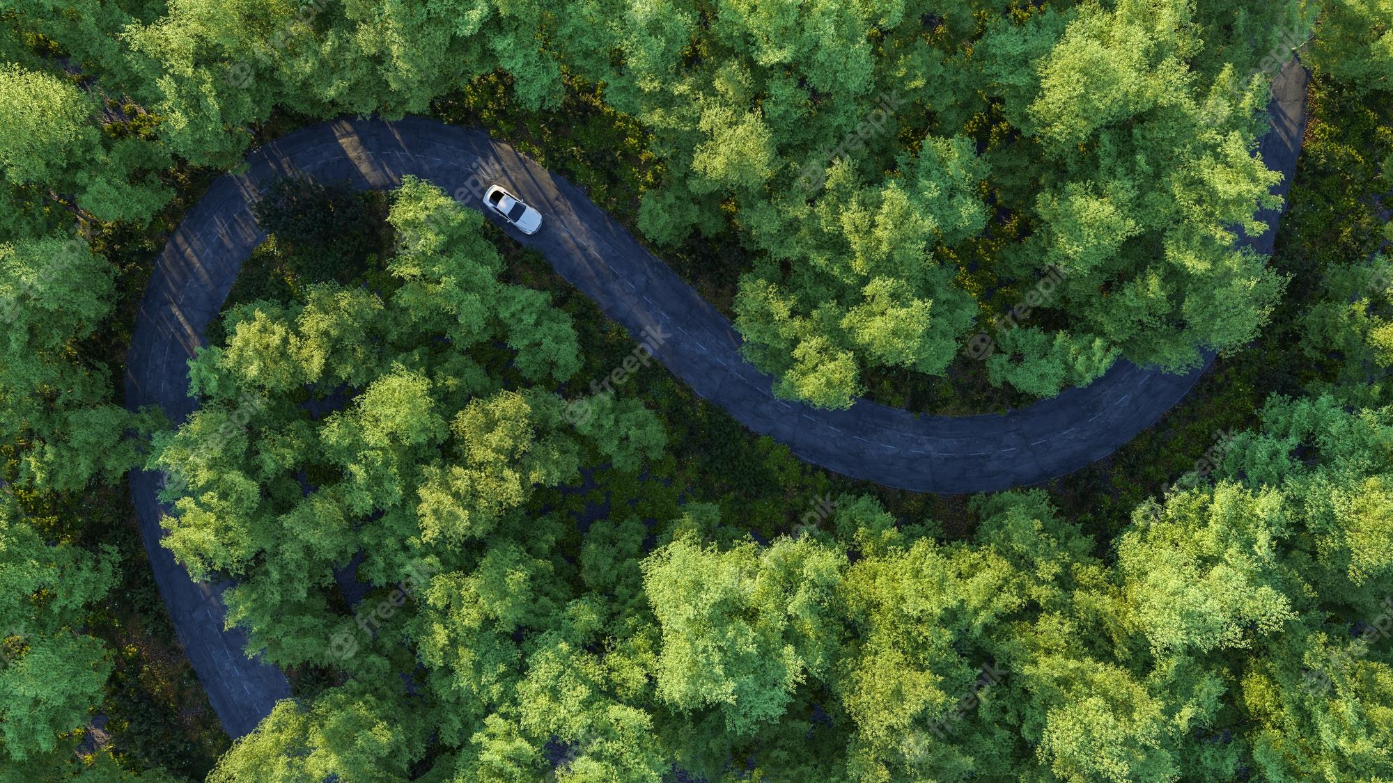 Deep Jungle Wallpapers - Wallpaper Cave