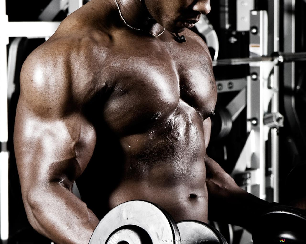 Gym PC Wallpapers - Wallpaper Cave