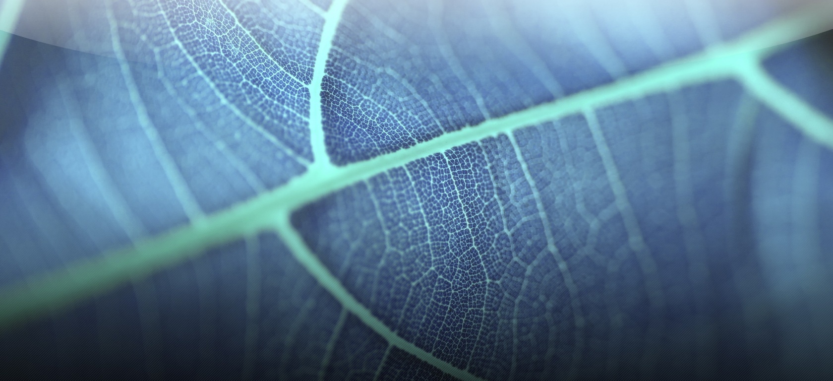 Opaque Wallpapers - Wallpaper Cave