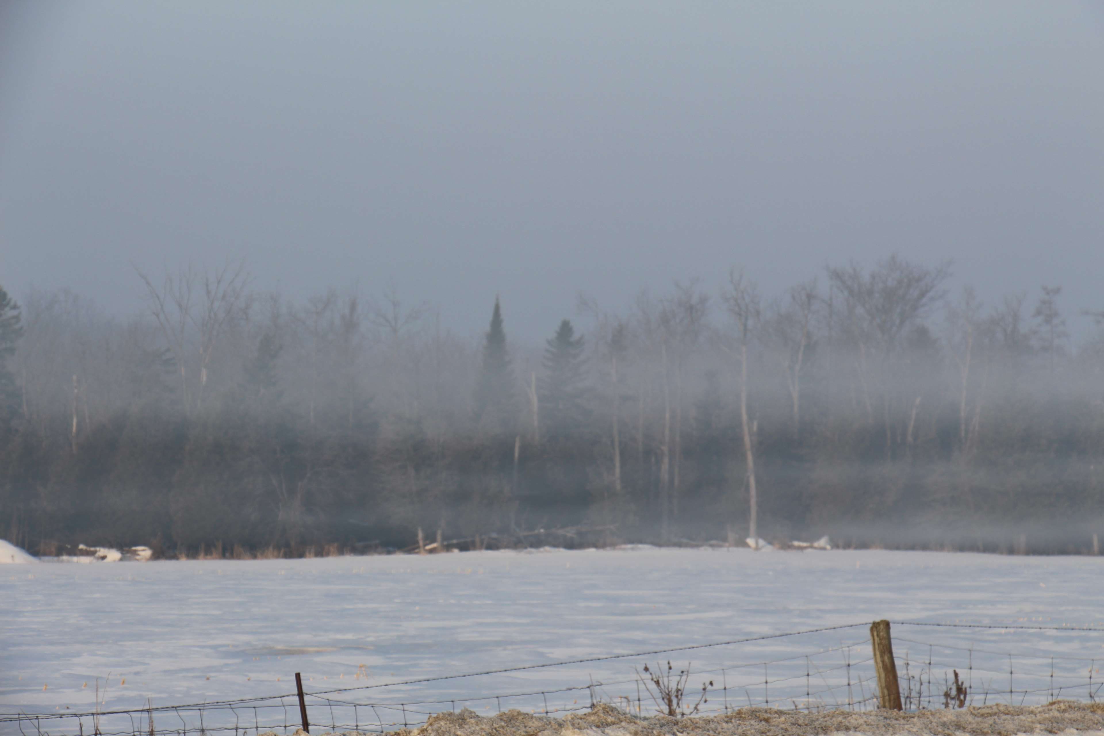 Early Morning Frost Wallpapers - Wallpaper Cave