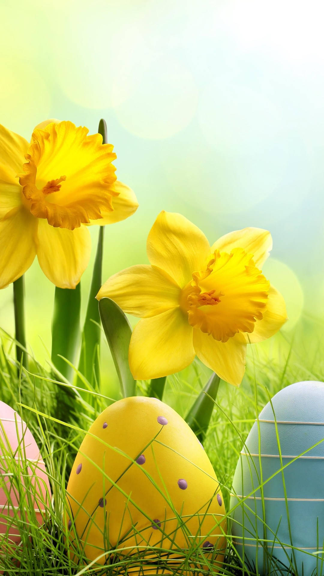 Easter Portrait Wallpapers - Wallpaper Cave