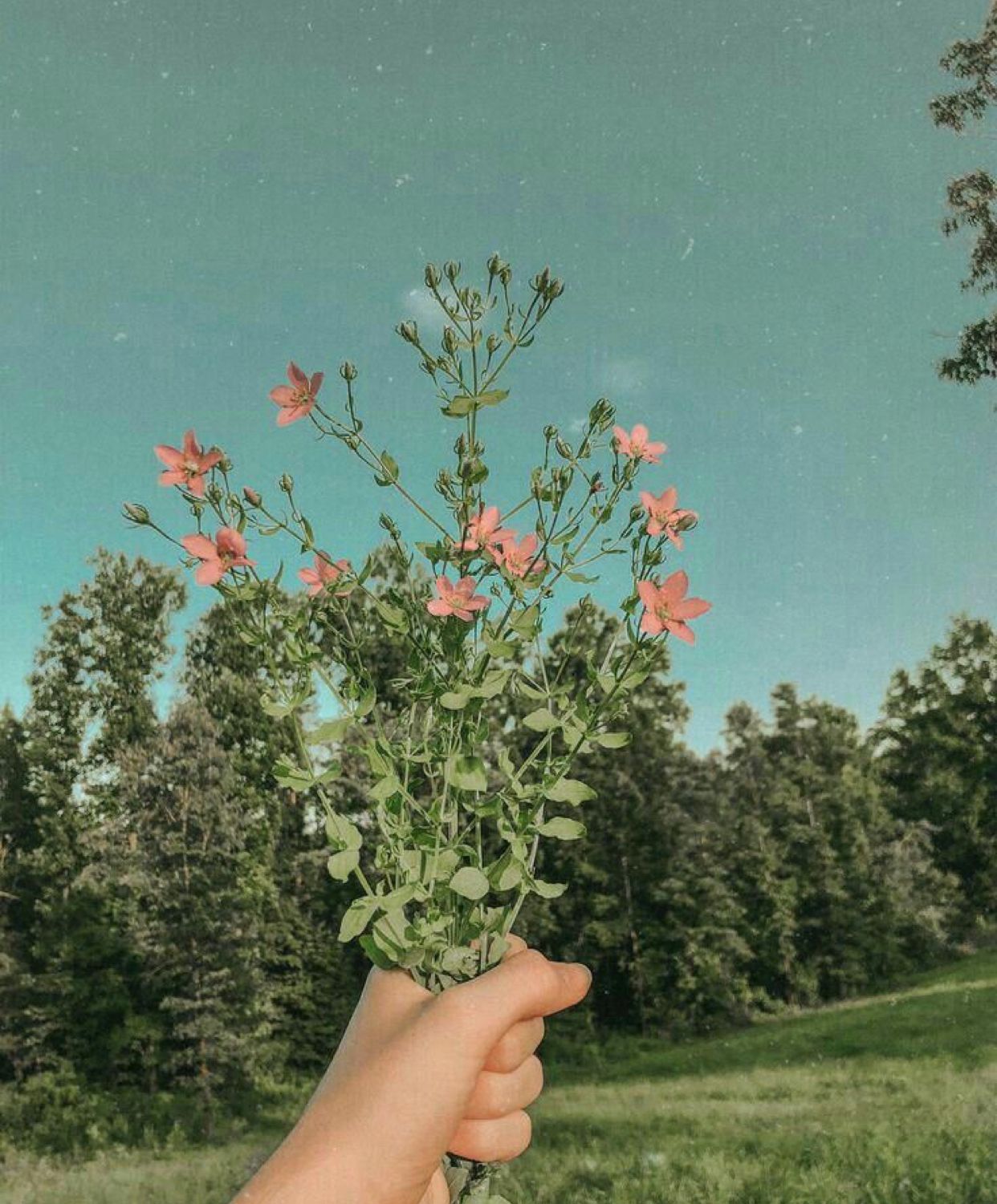 Spring Green Aesthetic Wallpapers - Wallpaper Cave