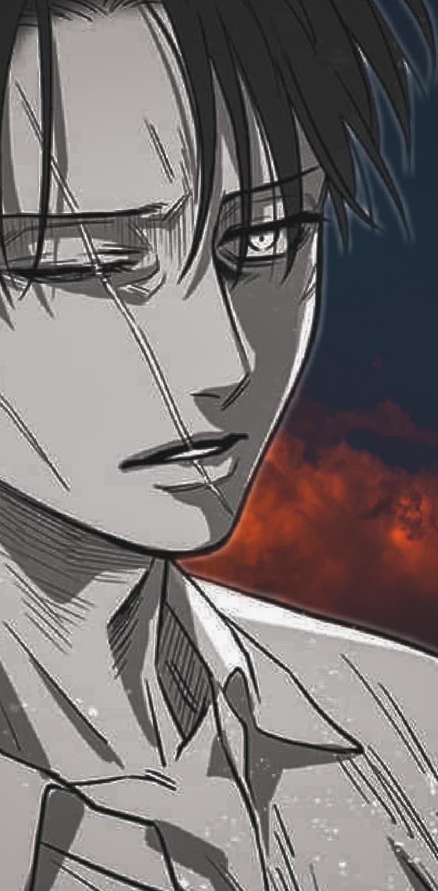 Levi PFP Wallpapers - Wallpaper Cave