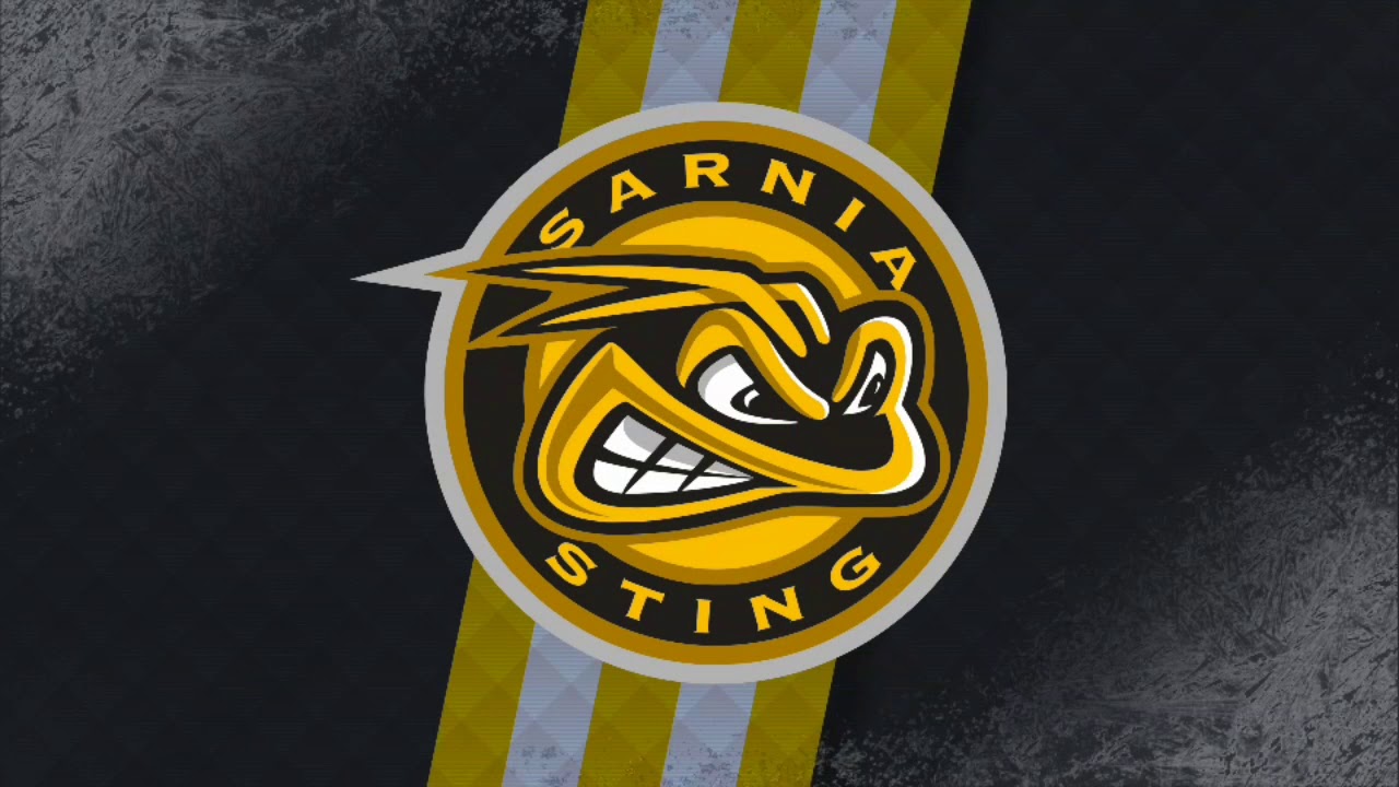 Sarnia Sting Wallpapers - Wallpaper Cave