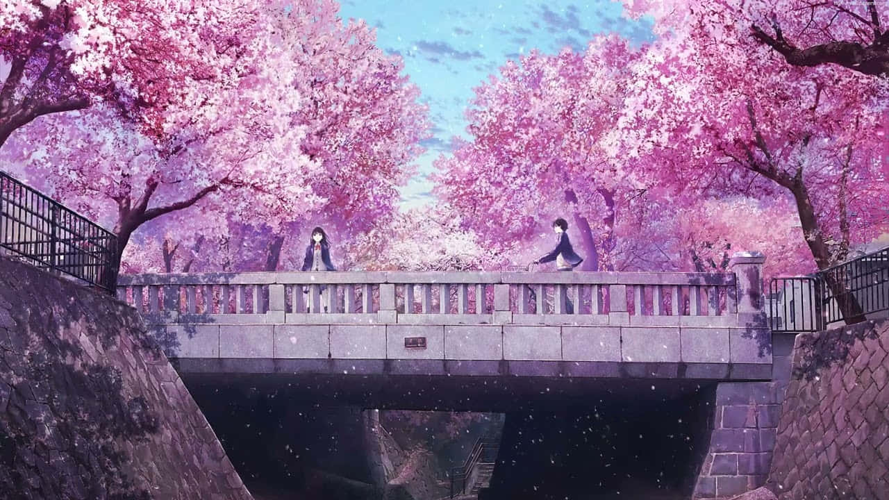Aesthetic Sakura Tree Anime Wallpapers - Wallpaper Cave