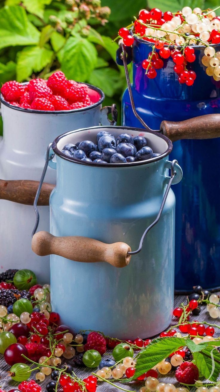 Forest Fruit Wallpapers - Wallpaper Cave