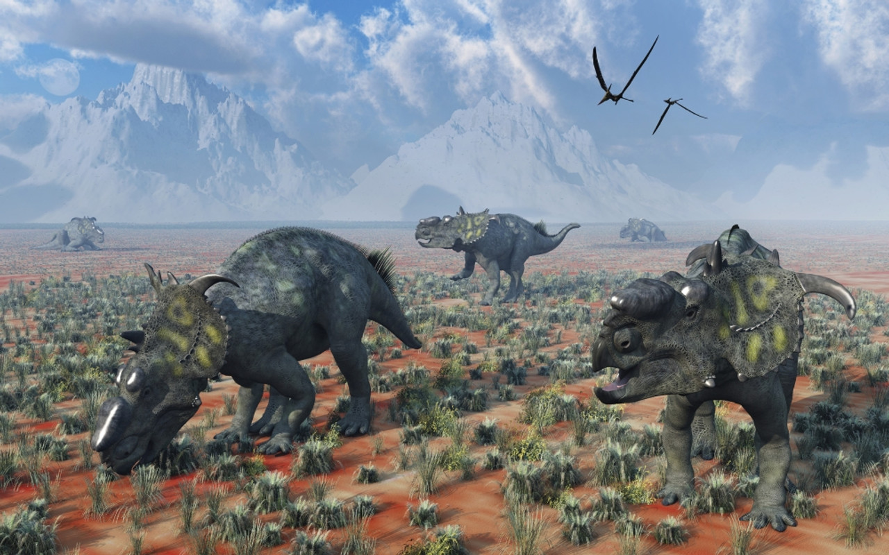 Pachyrhinosaurus Wallpapers - Wallpaper Cave