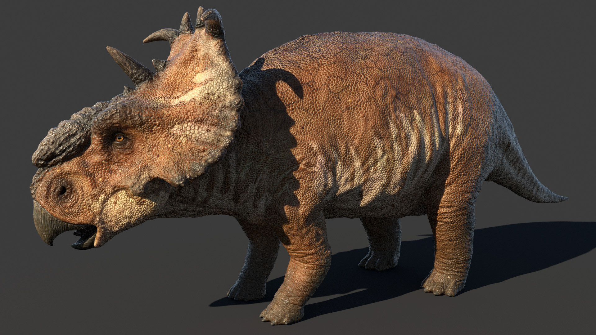 Pachyrhinosaurus Wallpapers - Wallpaper Cave