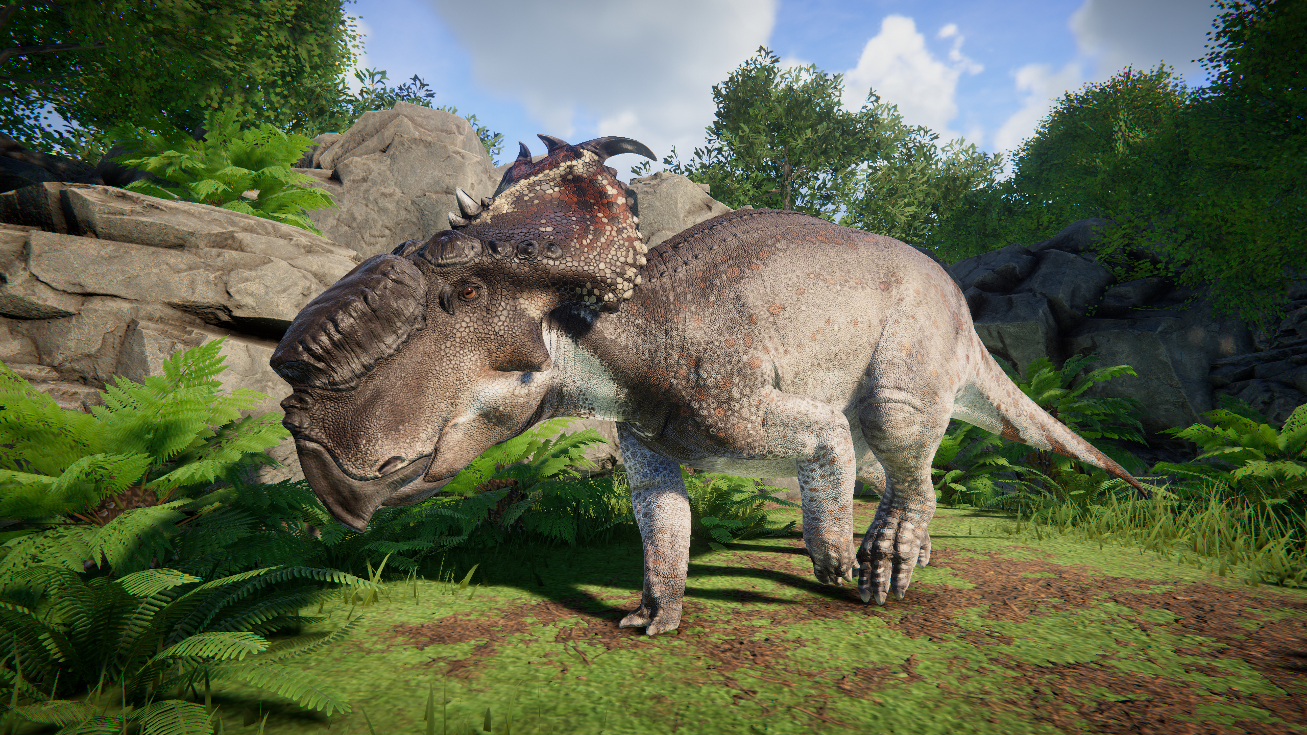 Pachyrhinosaurus Wallpapers - Wallpaper Cave