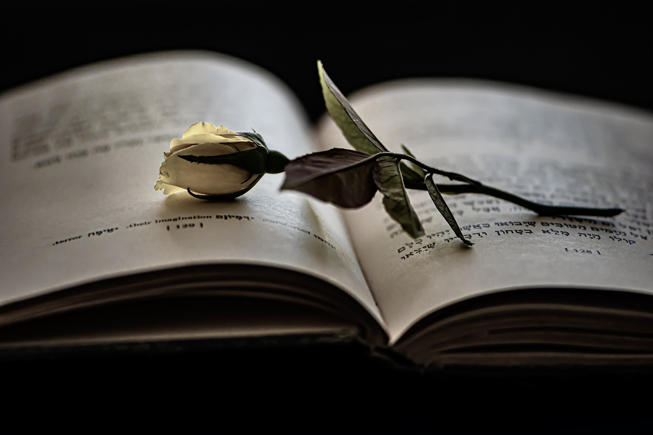 I Love Reading Books Wallpapers - Wallpaper Cave