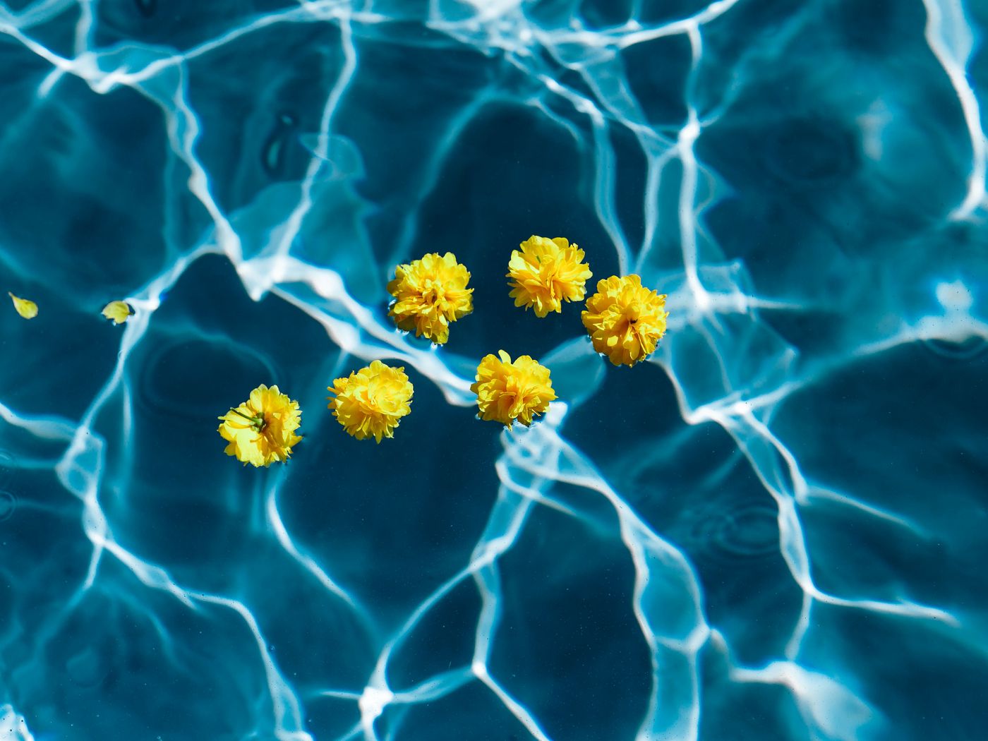 Flowers In Water Wallpapers - Wallpaper Cave
