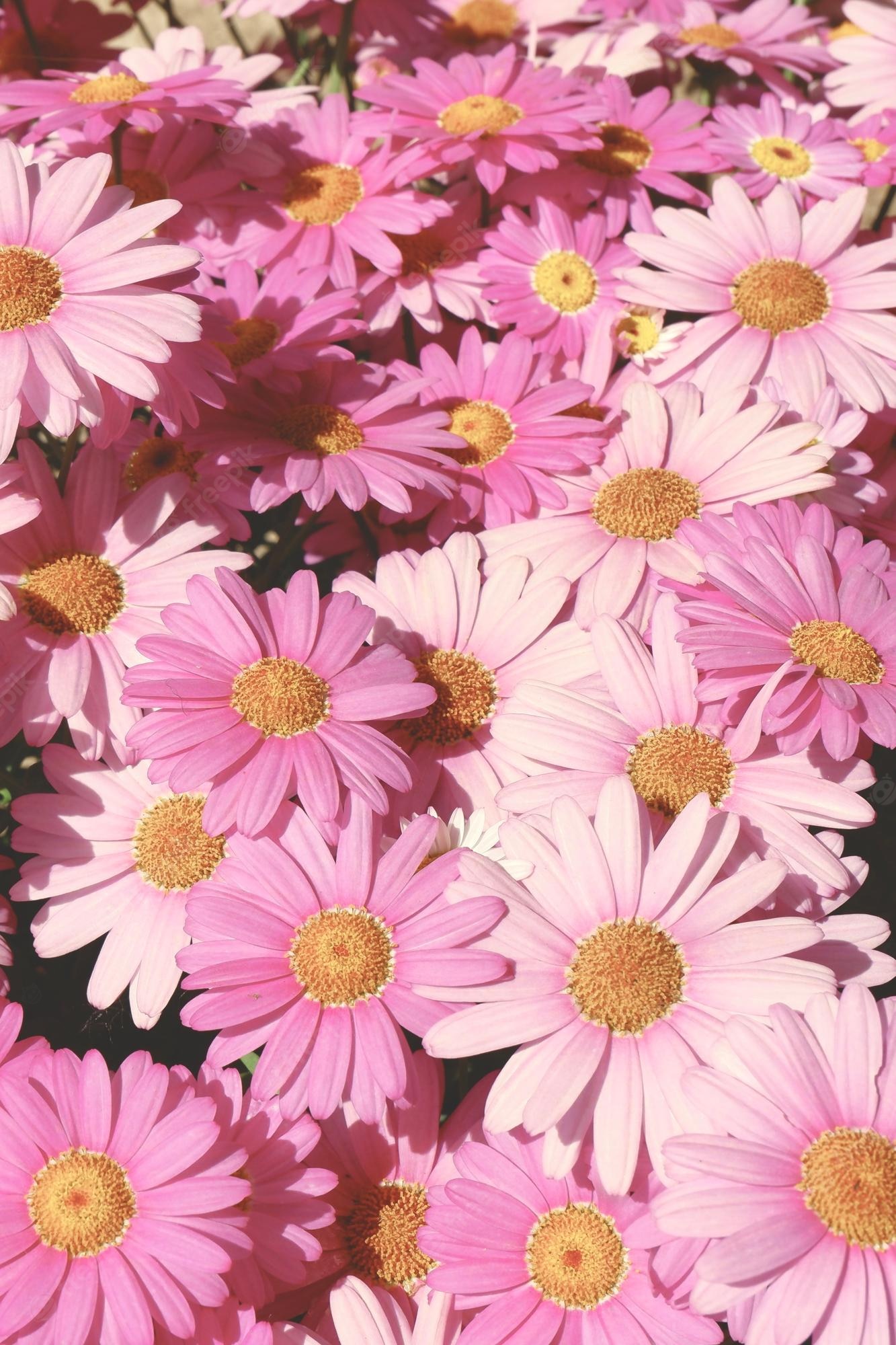 Spring 50s Wallpapers - Wallpaper Cave