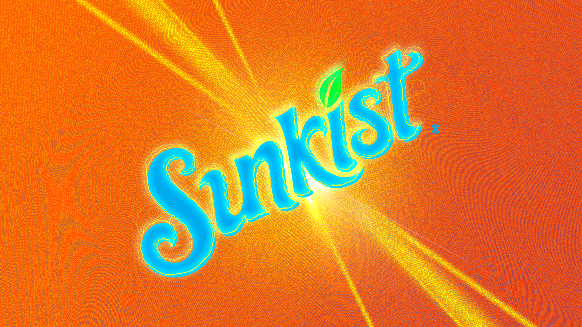 Sunkist Orange Wallpaper Hd at Bella Bright blog