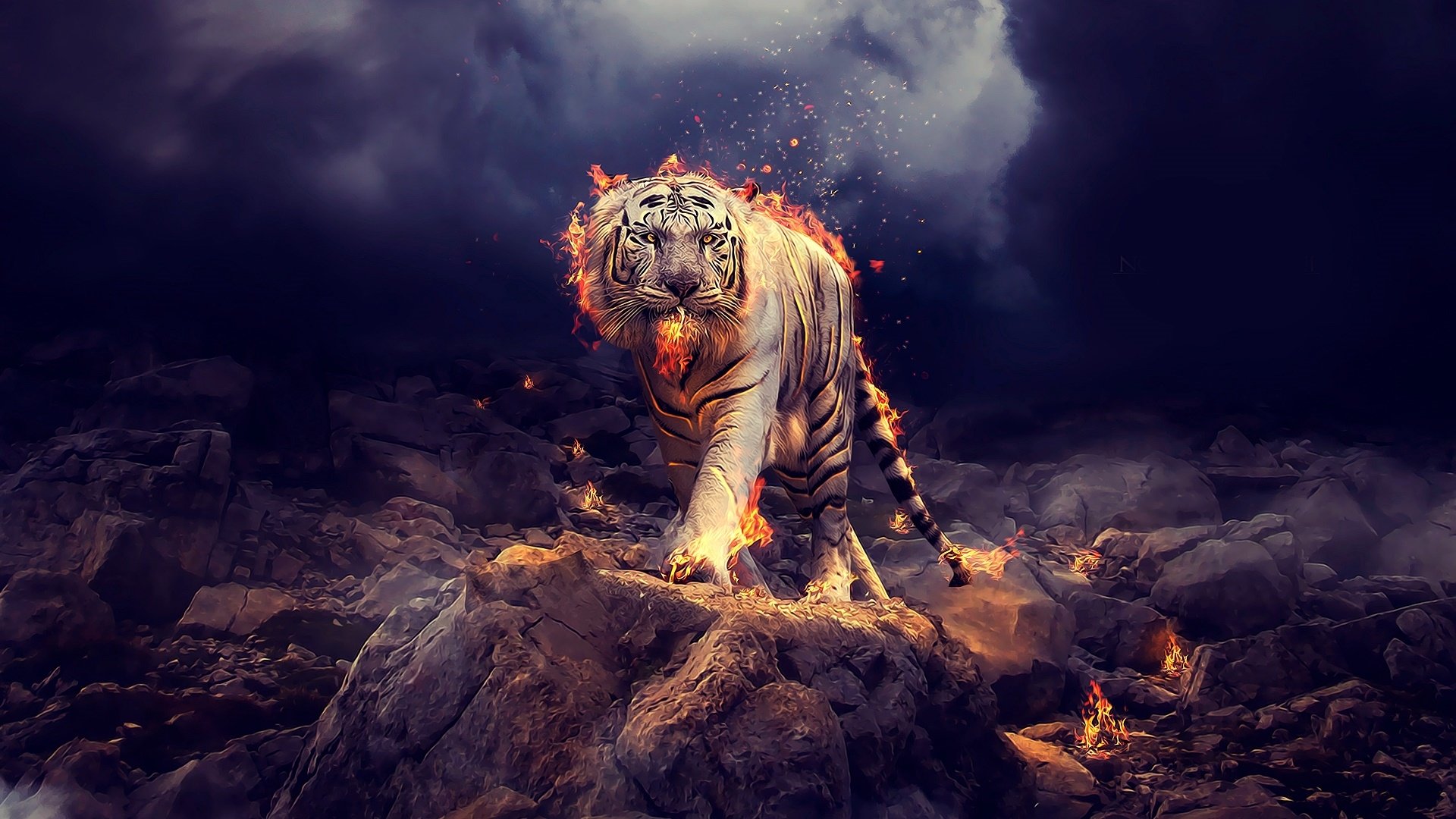 Flaming Tiger Wallpapers - Wallpaper Cave