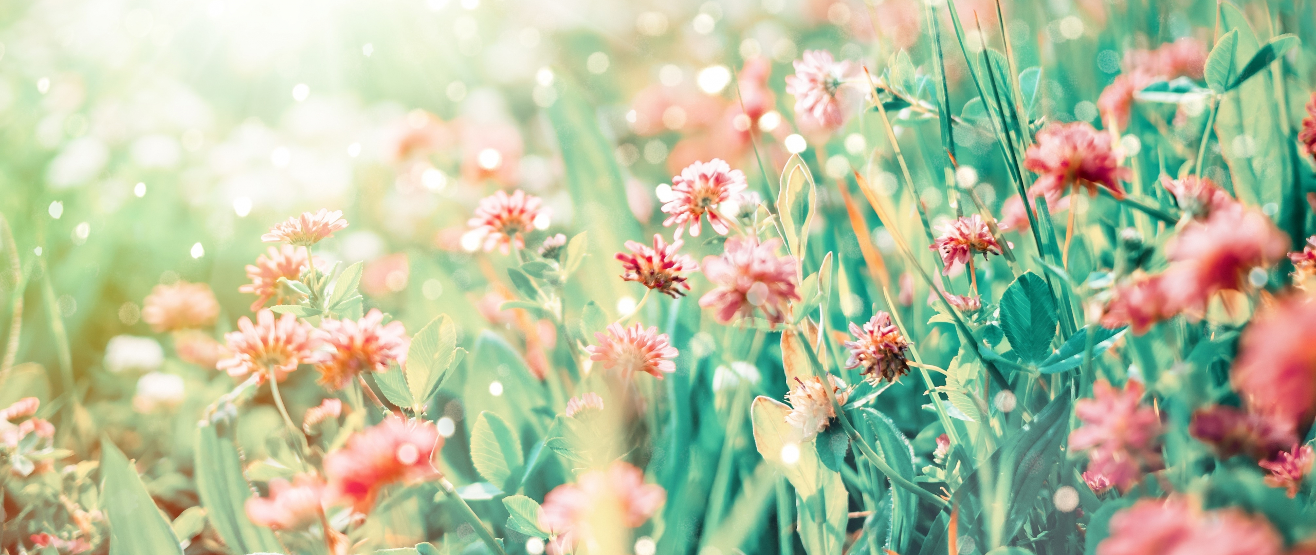 2560x1080 Spring Wallpapers - Wallpaper Cave