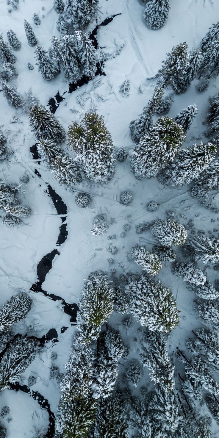 Winter Forest Aerial View Wallpapers - Wallpaper Cave