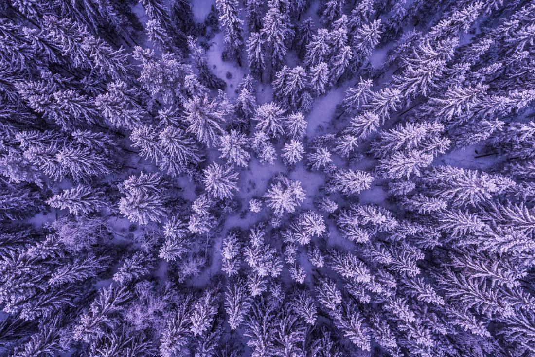 Winter Forest Aerial View Wallpapers - Wallpaper Cave