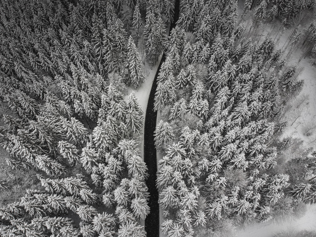 Winter Forest Aerial View Wallpapers - Wallpaper Cave