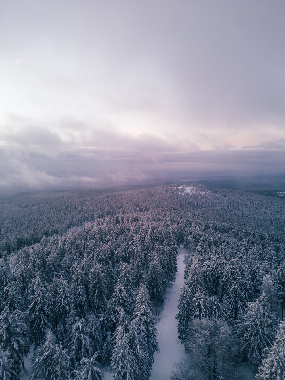 Winter Forest Aerial View Wallpapers - Wallpaper Cave