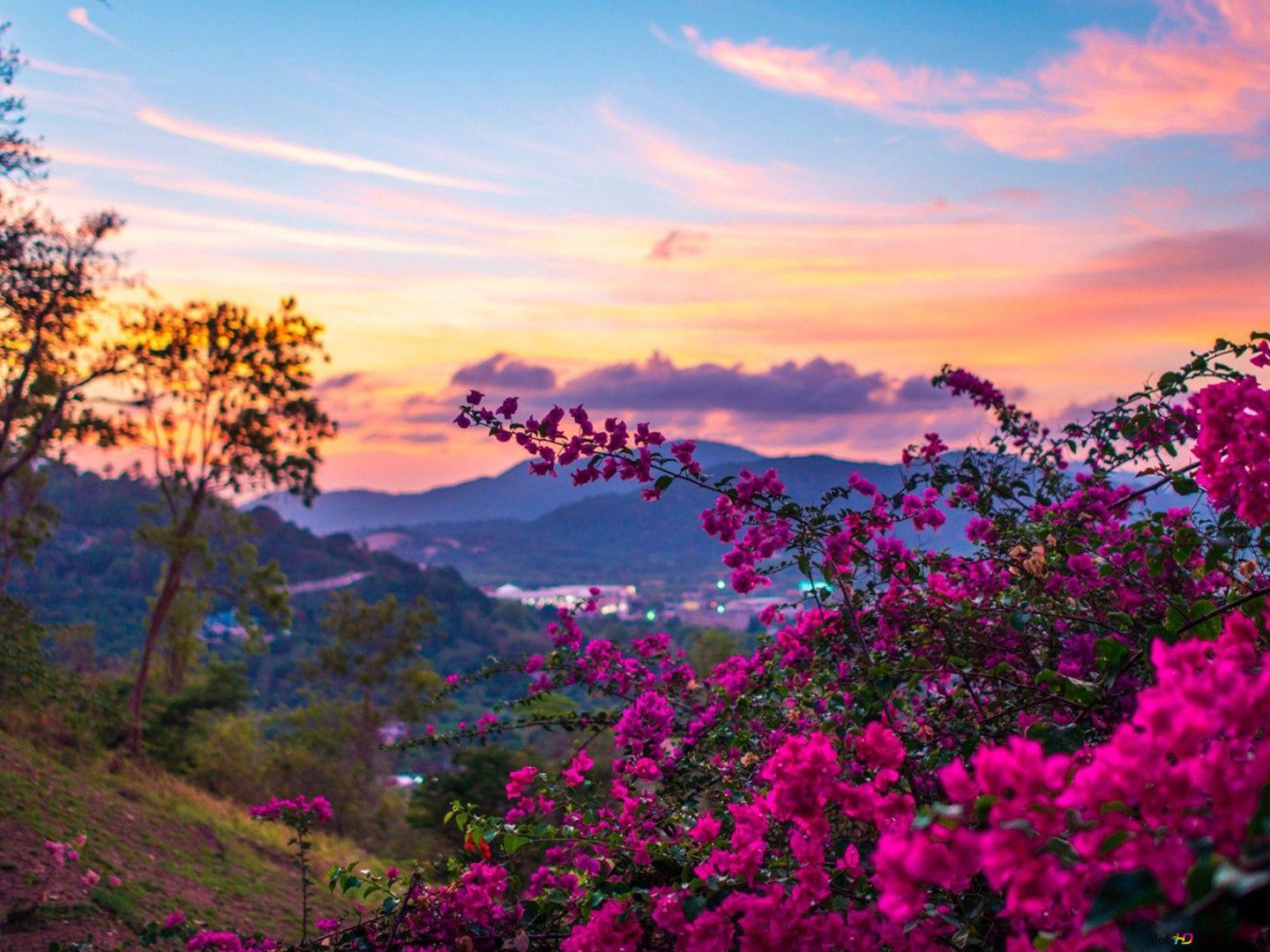 Beautiful Spring Sunset Wallpapers - Wallpaper Cave