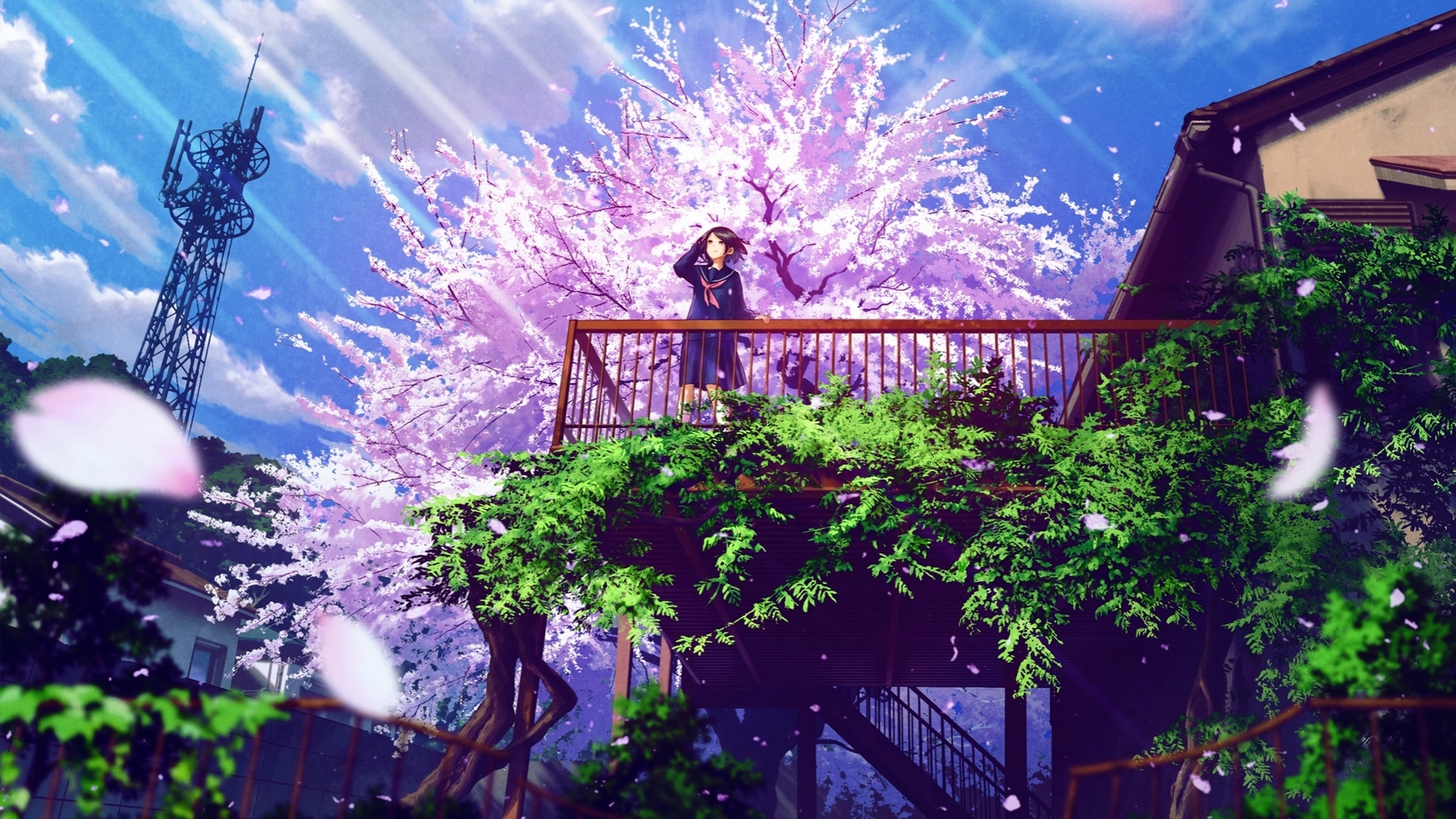 Manga Spring Wallpapers - Wallpaper Cave