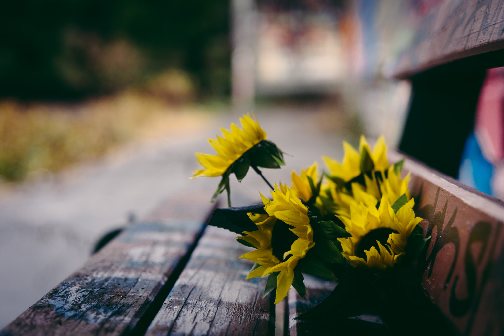 VSCO Girl Spring Wallpapers - Wallpaper Cave