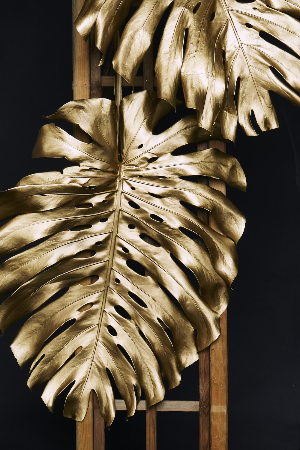 Golden Leaf Wallpapers - Wallpaper Cave