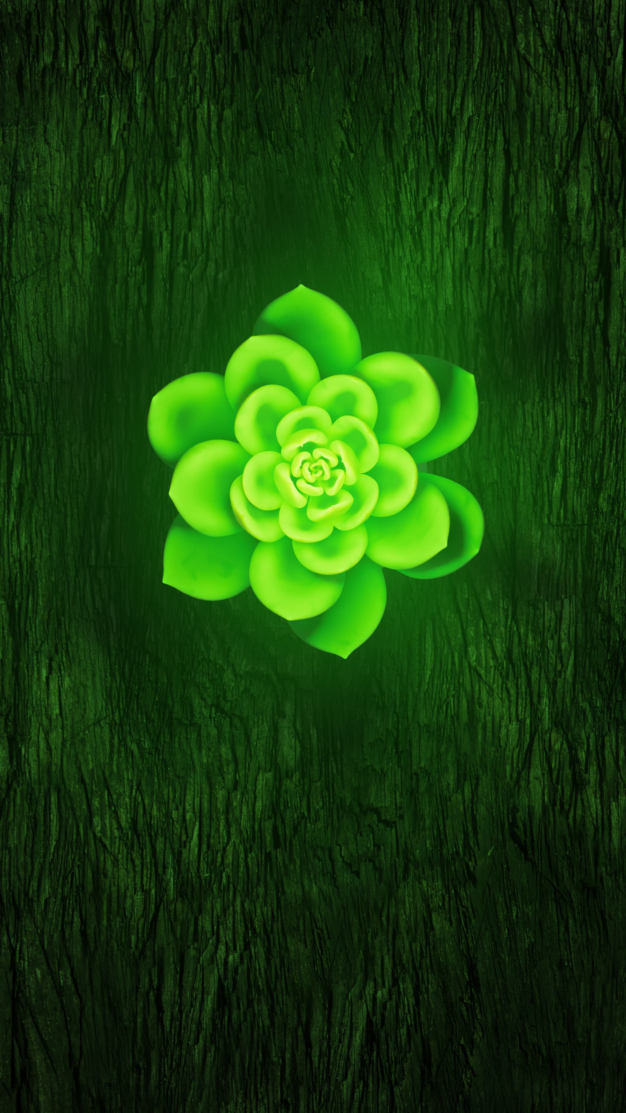 Glowing Flowers Wallpapers - Wallpaper Cave