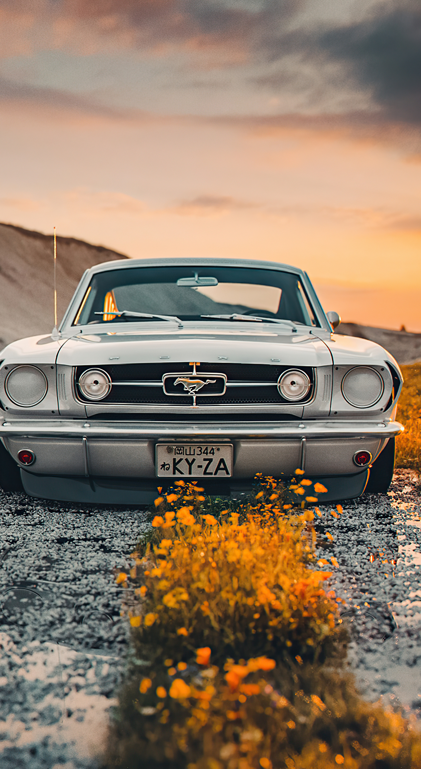 Ford Mustang Mobile Wallpapers - Wallpaper Cave