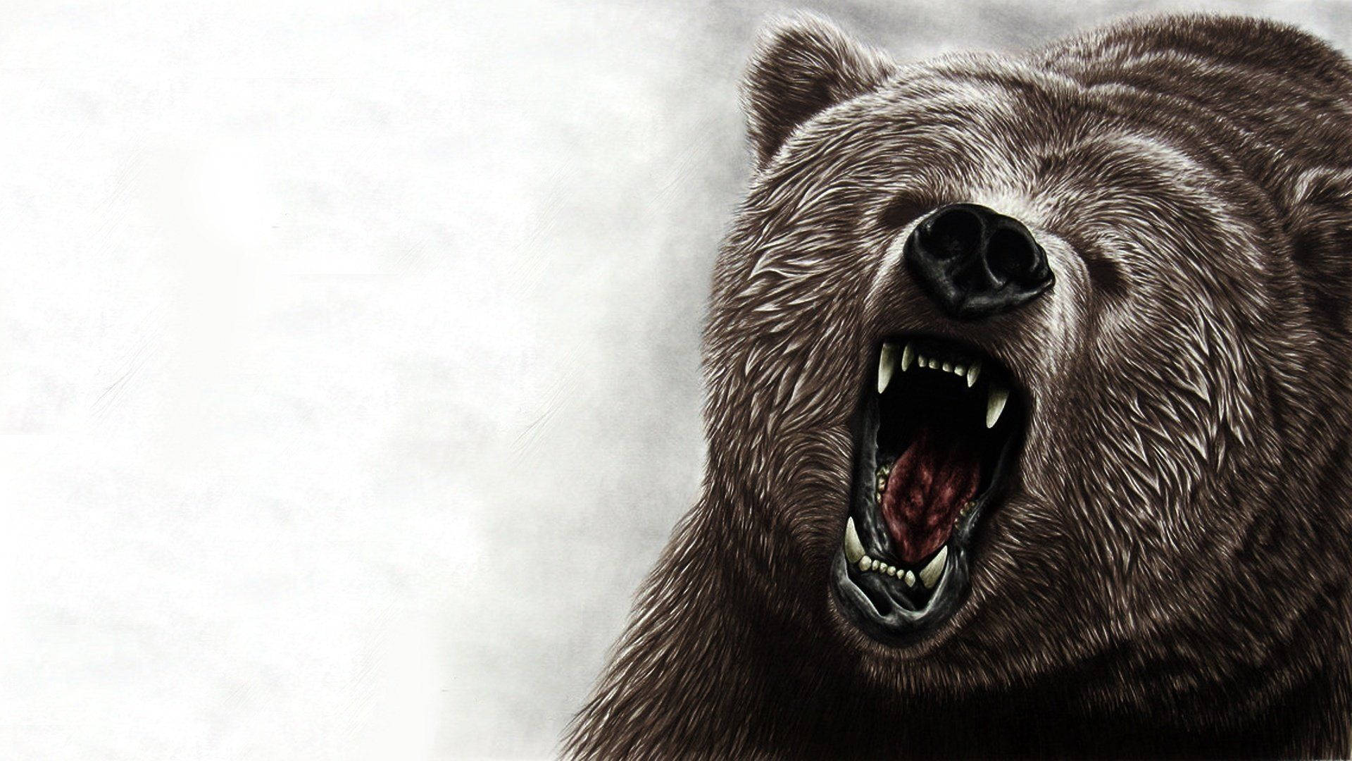 Kodiak Bear Wallpapers - Wallpaper Cave