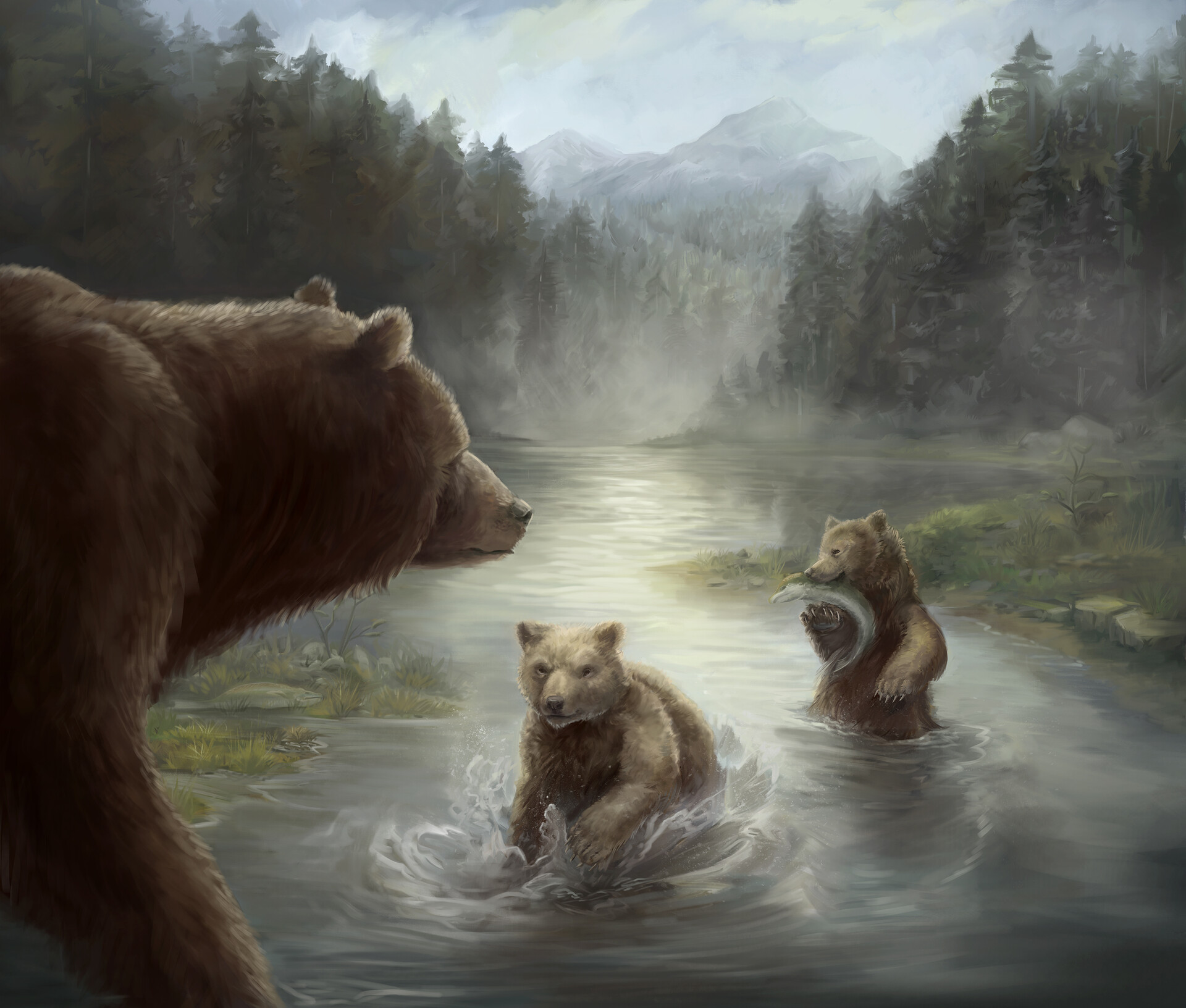 Kodiak Bear Wallpapers - Wallpaper Cave