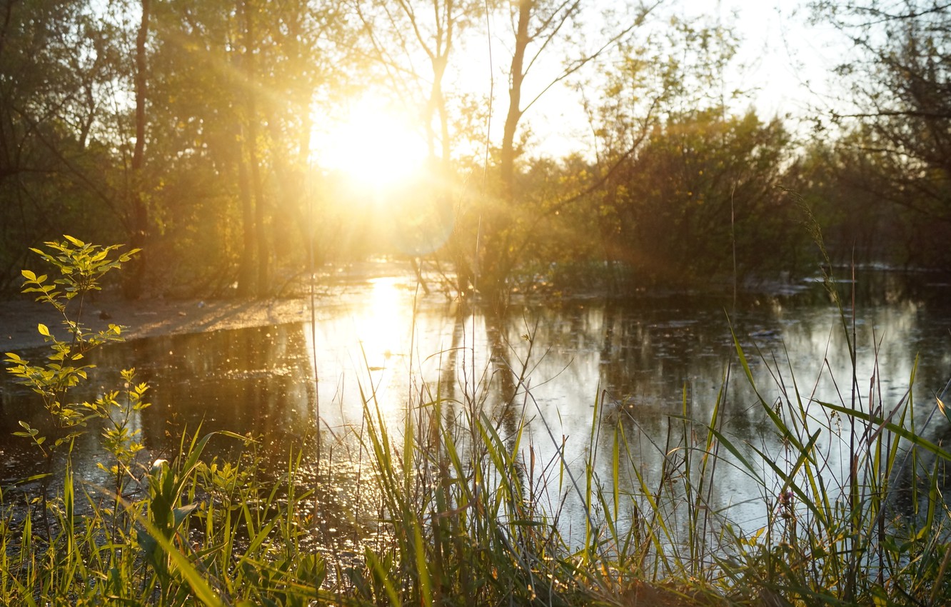 River Spring Sun Wallpapers - Wallpaper Cave
