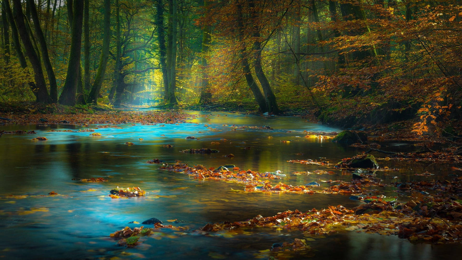 River Spring Sun Wallpapers - Wallpaper Cave