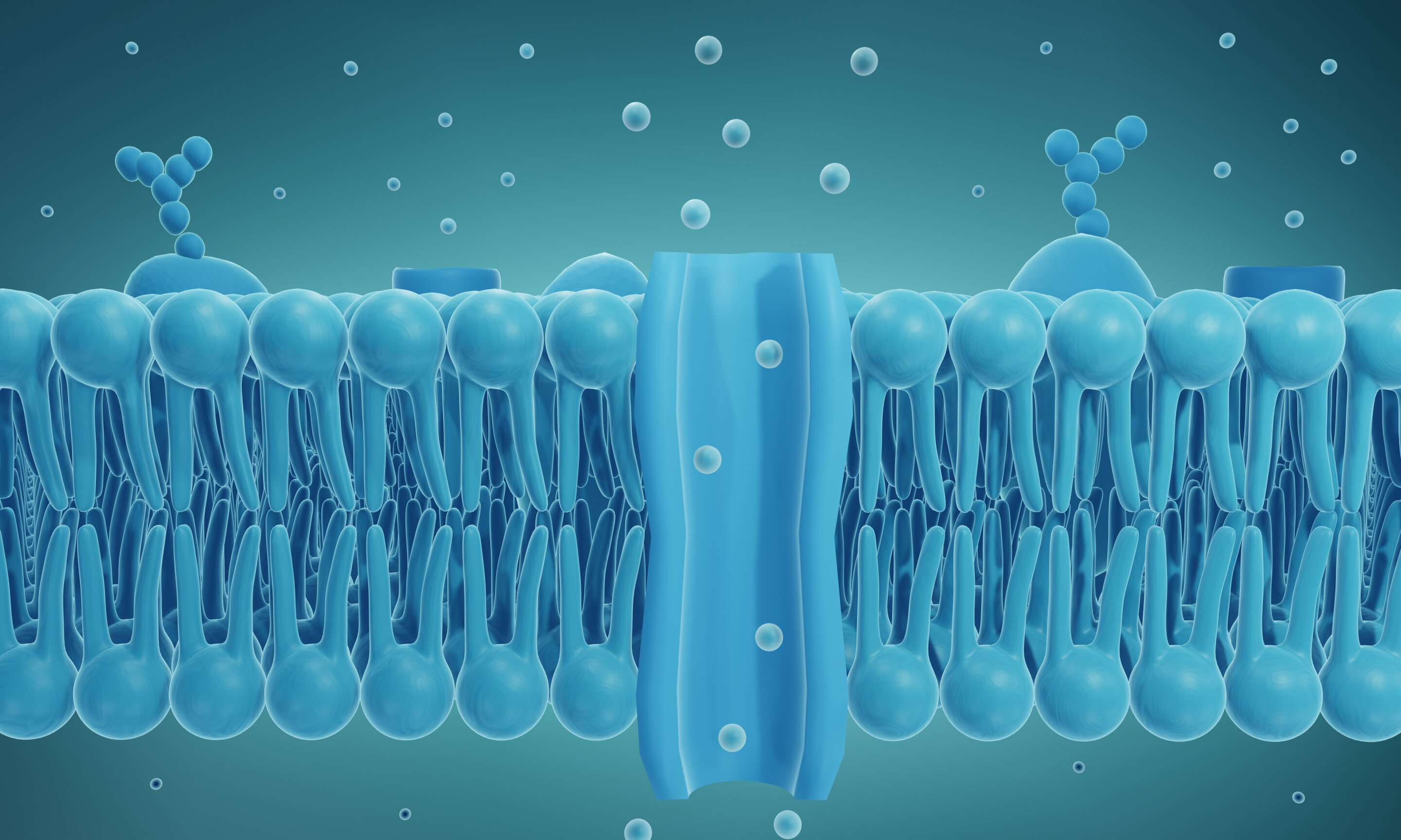 Cell Membrane Wallpapers - Wallpaper Cave