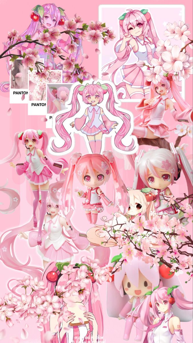 Sakura Hatsune Miku Wallpapers - Wallpaper Cave