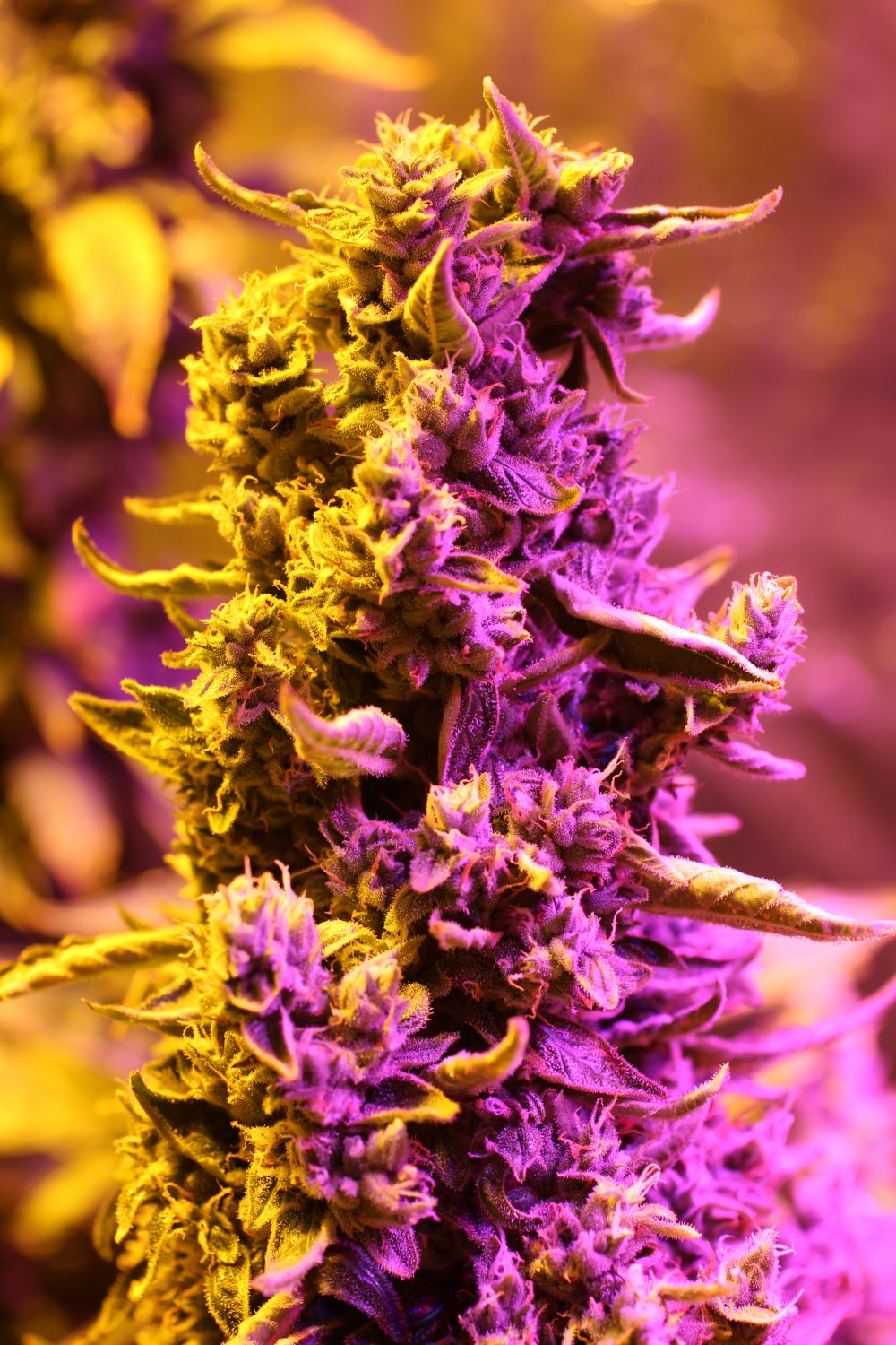 Doctor Strain Wallpapers - Wallpaper Cave