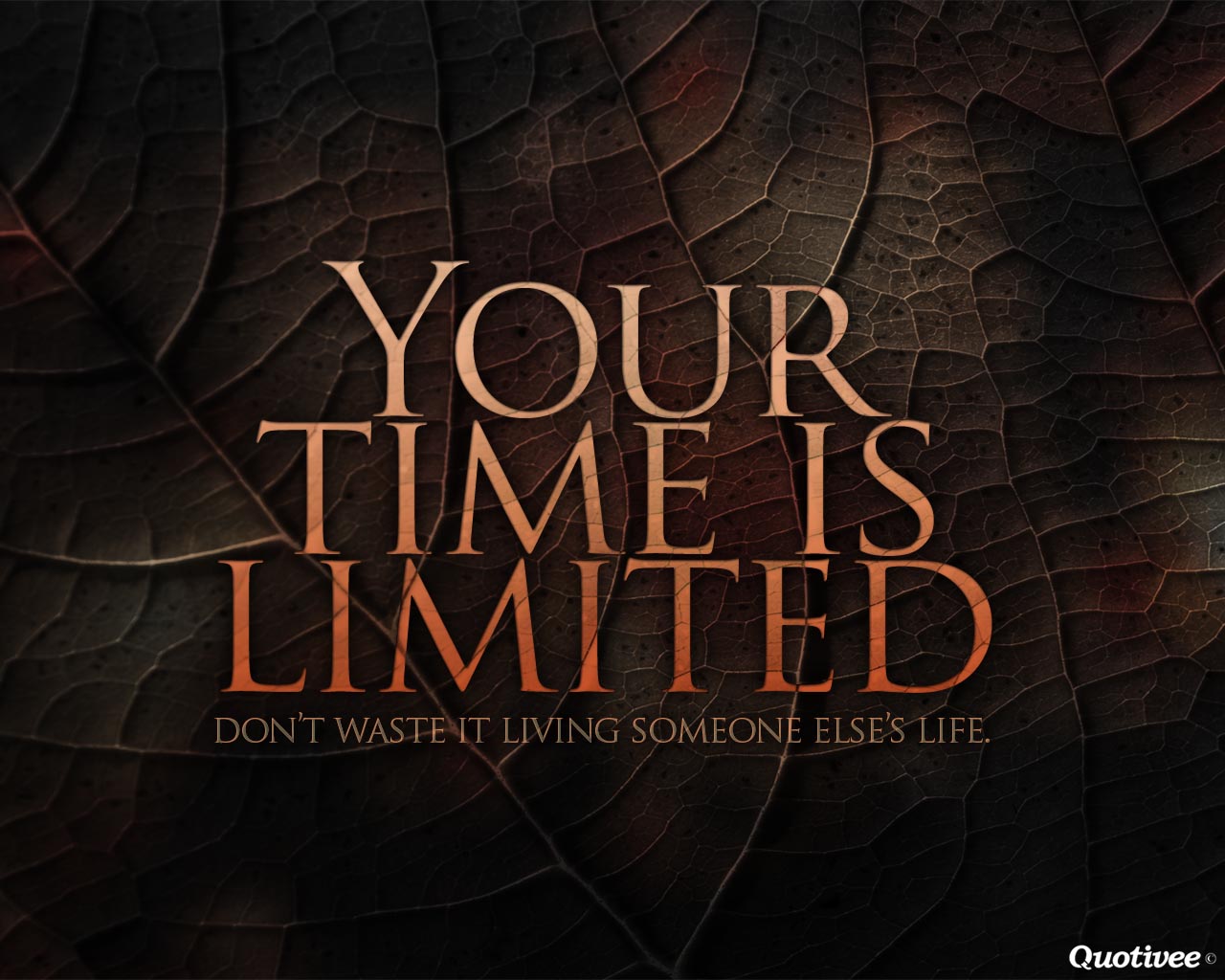 Don't Waste Time Wallpapers - Wallpaper Cave