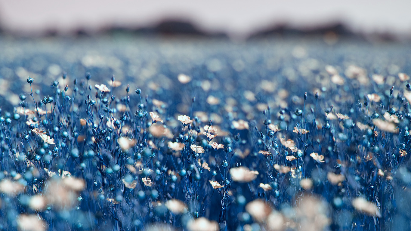 Blue Spring Laptop Wallpapers - Wallpaper Cave