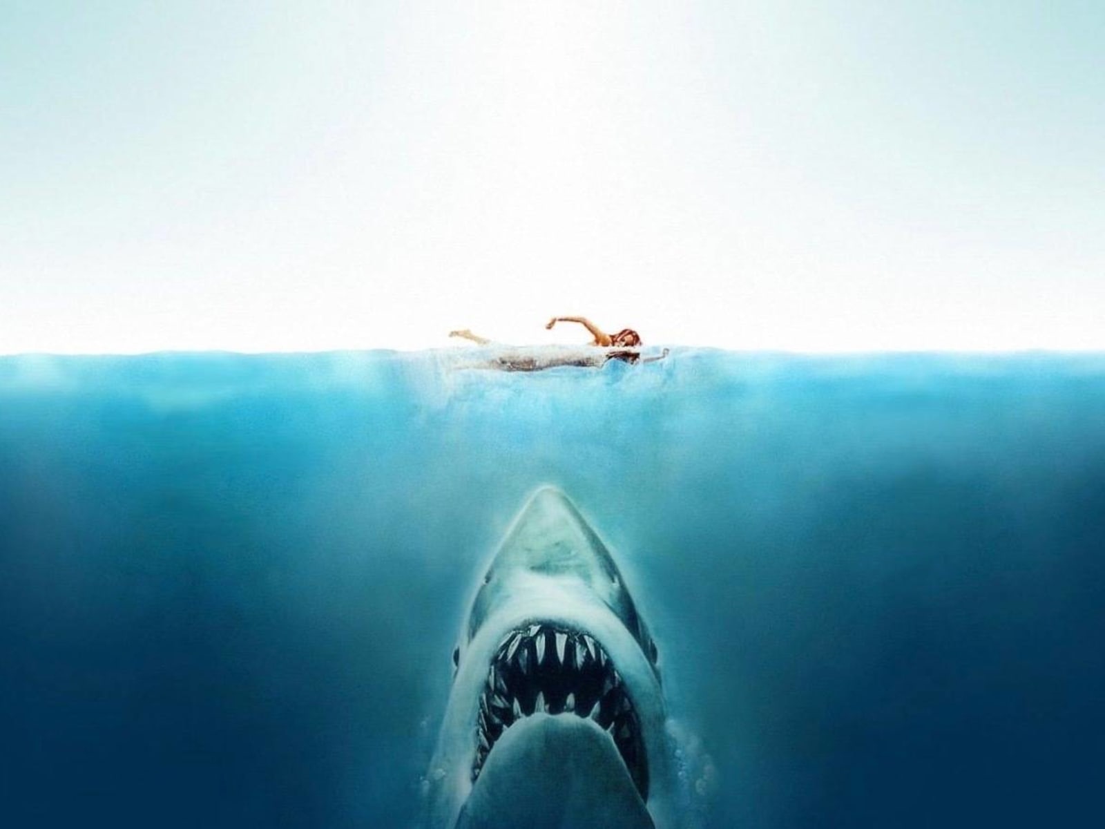 Jaws 2 Wallpapers - Wallpaper Cave
