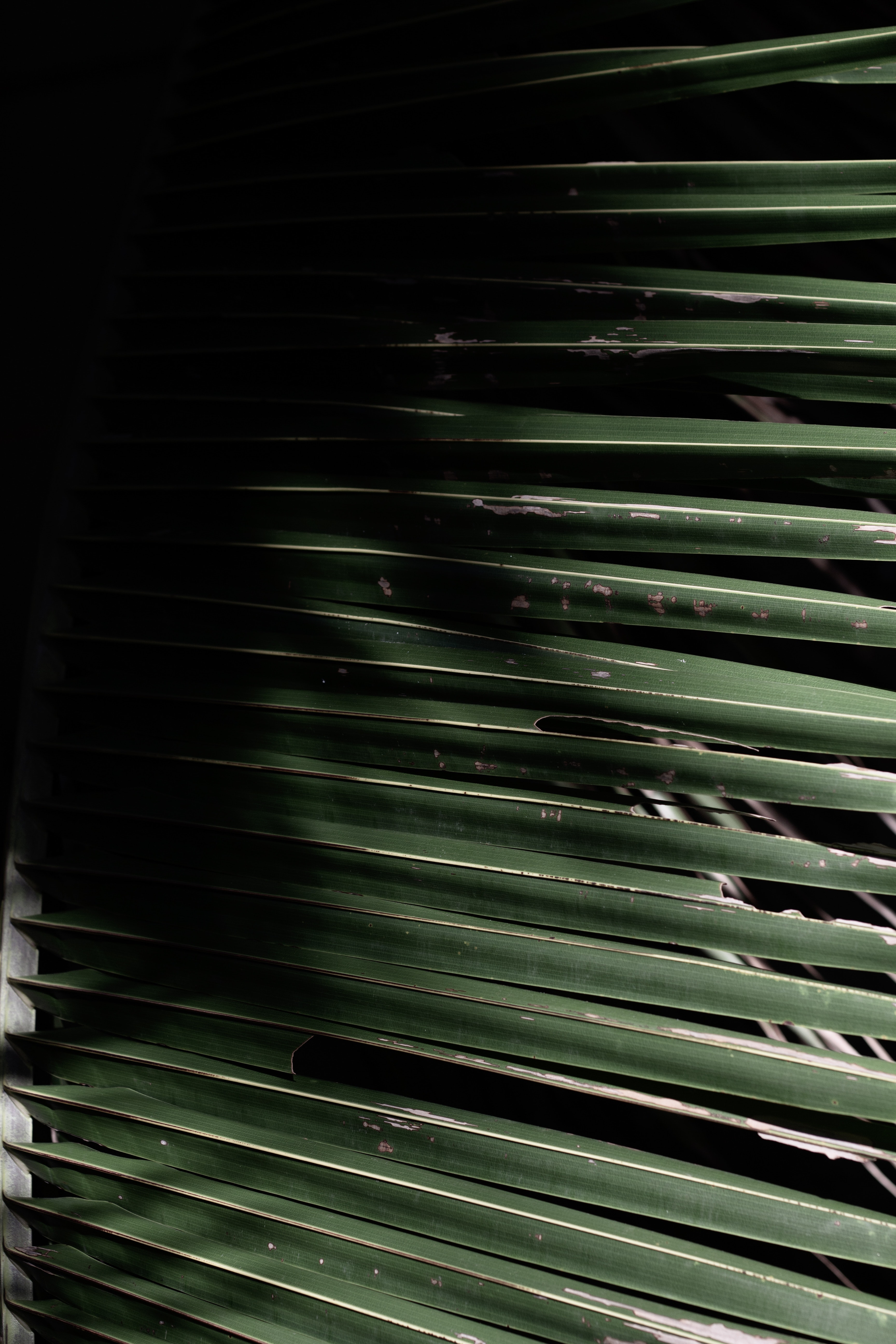 Black Tone Wallpapers - Wallpaper Cave