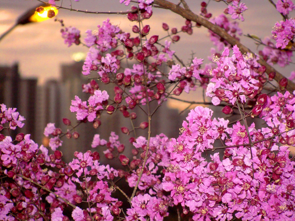 Urban Spring Wallpapers - Wallpaper Cave