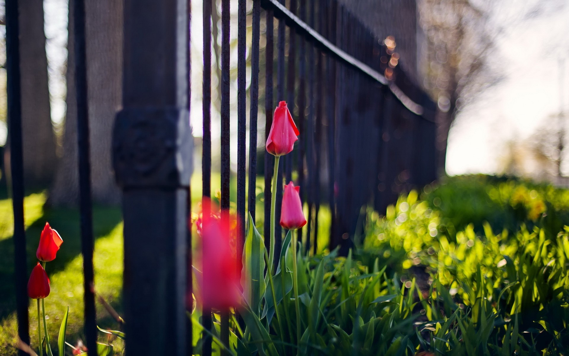 Urban Spring Wallpapers - Wallpaper Cave