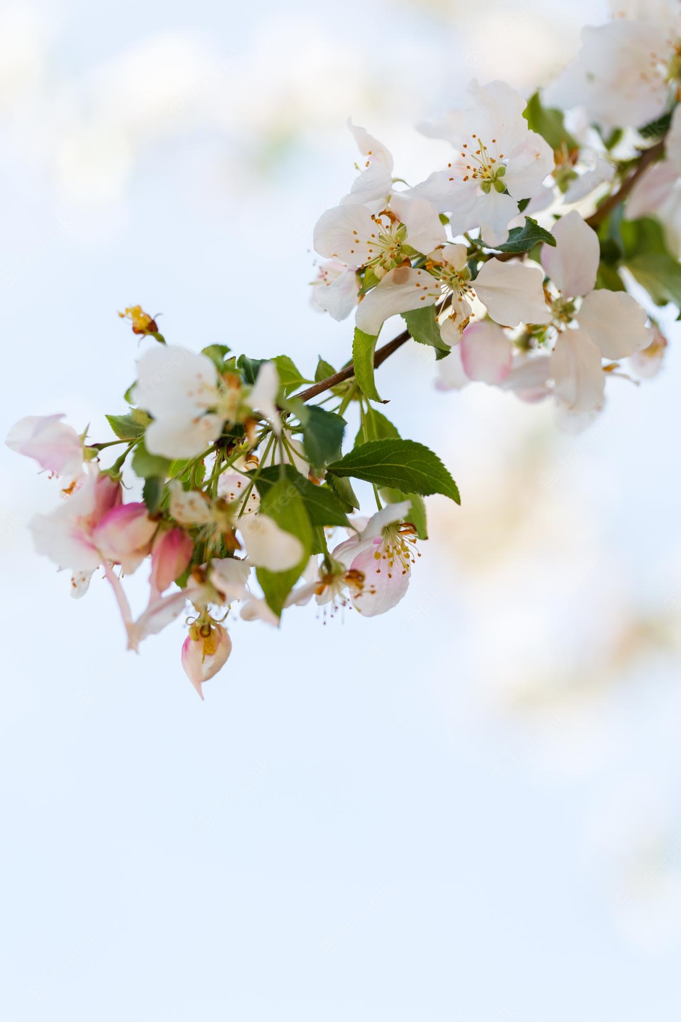 Urban Spring Wallpapers - Wallpaper Cave