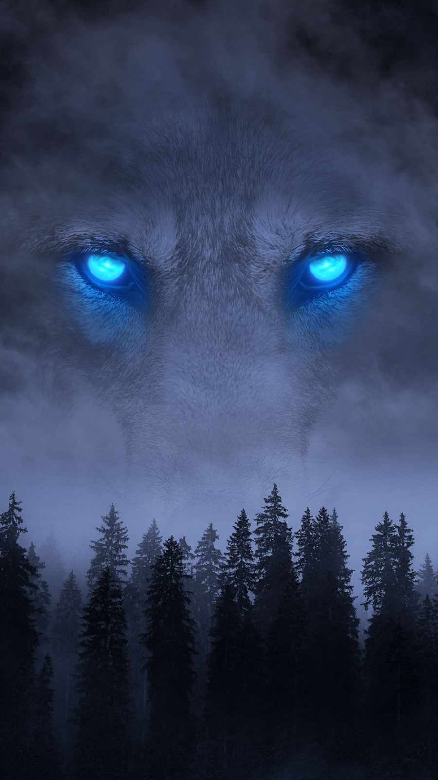 Forest Wolf Wallpapers - Wallpaper Cave