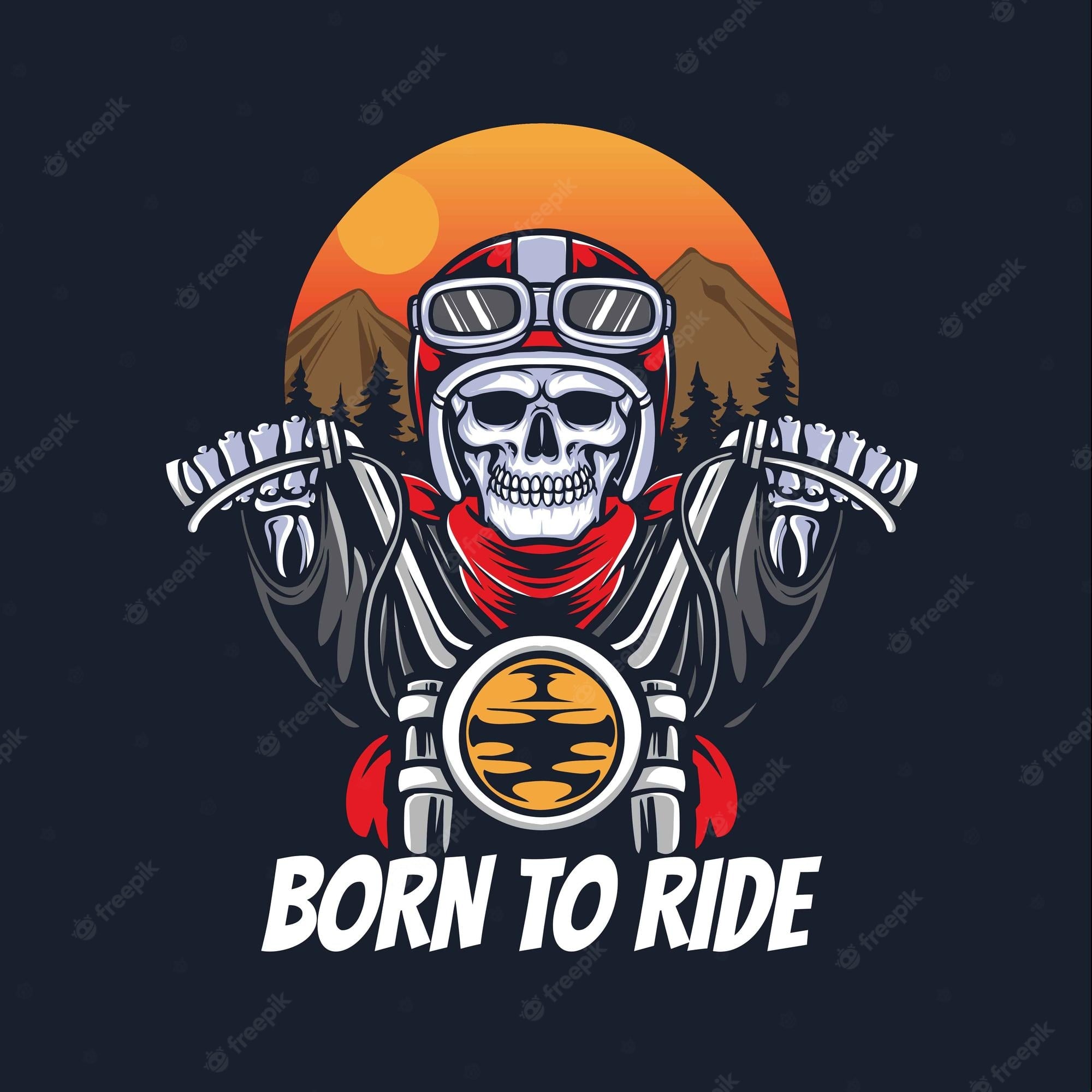 Skeleton Riding A Harley Davidson Wallpapers - Wallpaper Cave