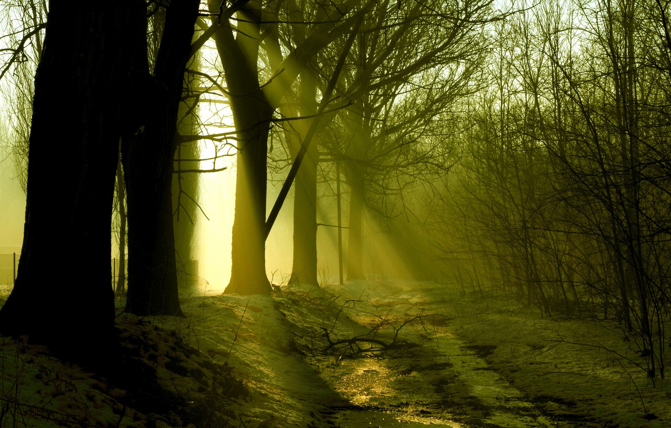 Spring Melting Wallpapers - Wallpaper Cave