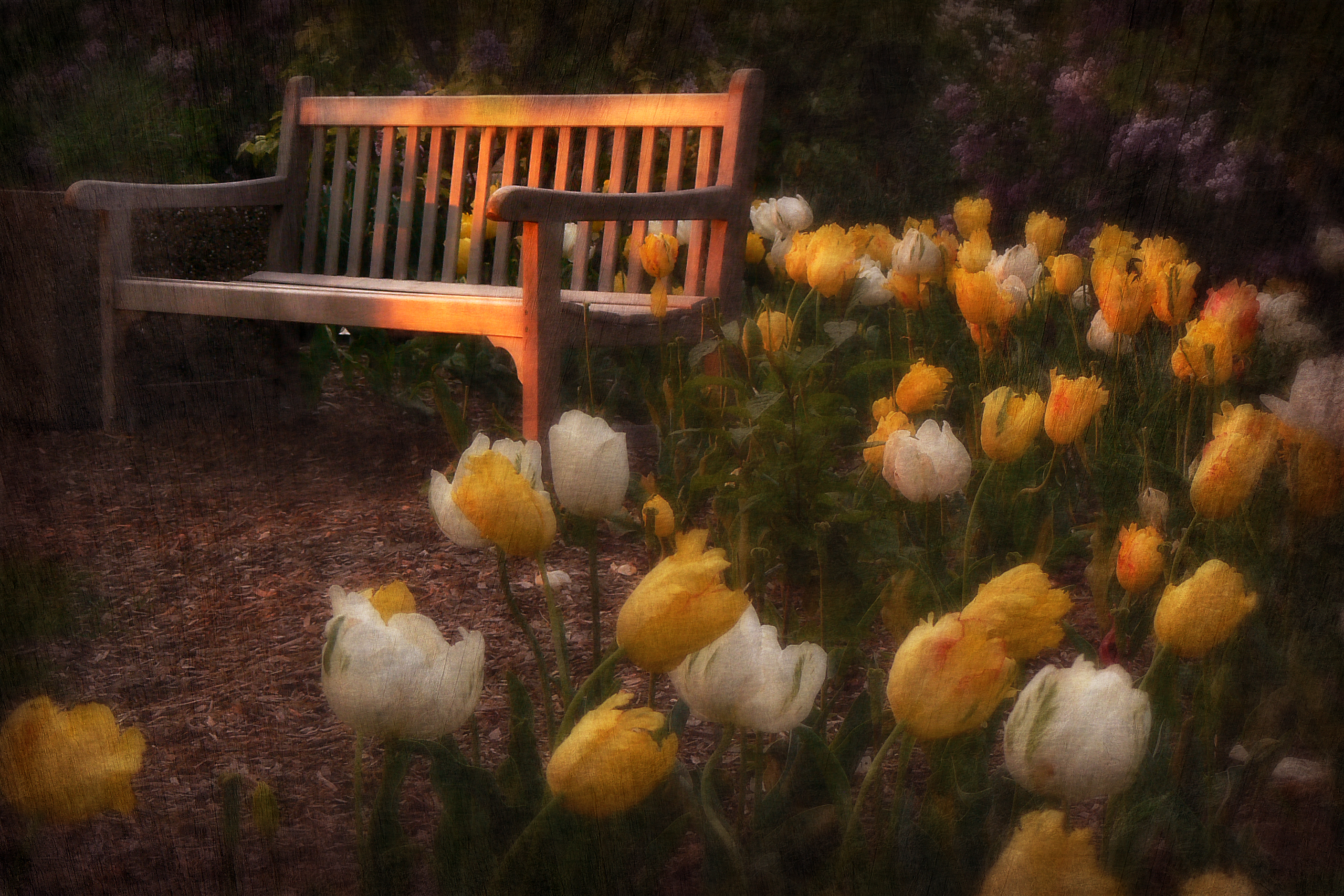 Spring Flower Bench Wallpapers - Wallpaper Cave