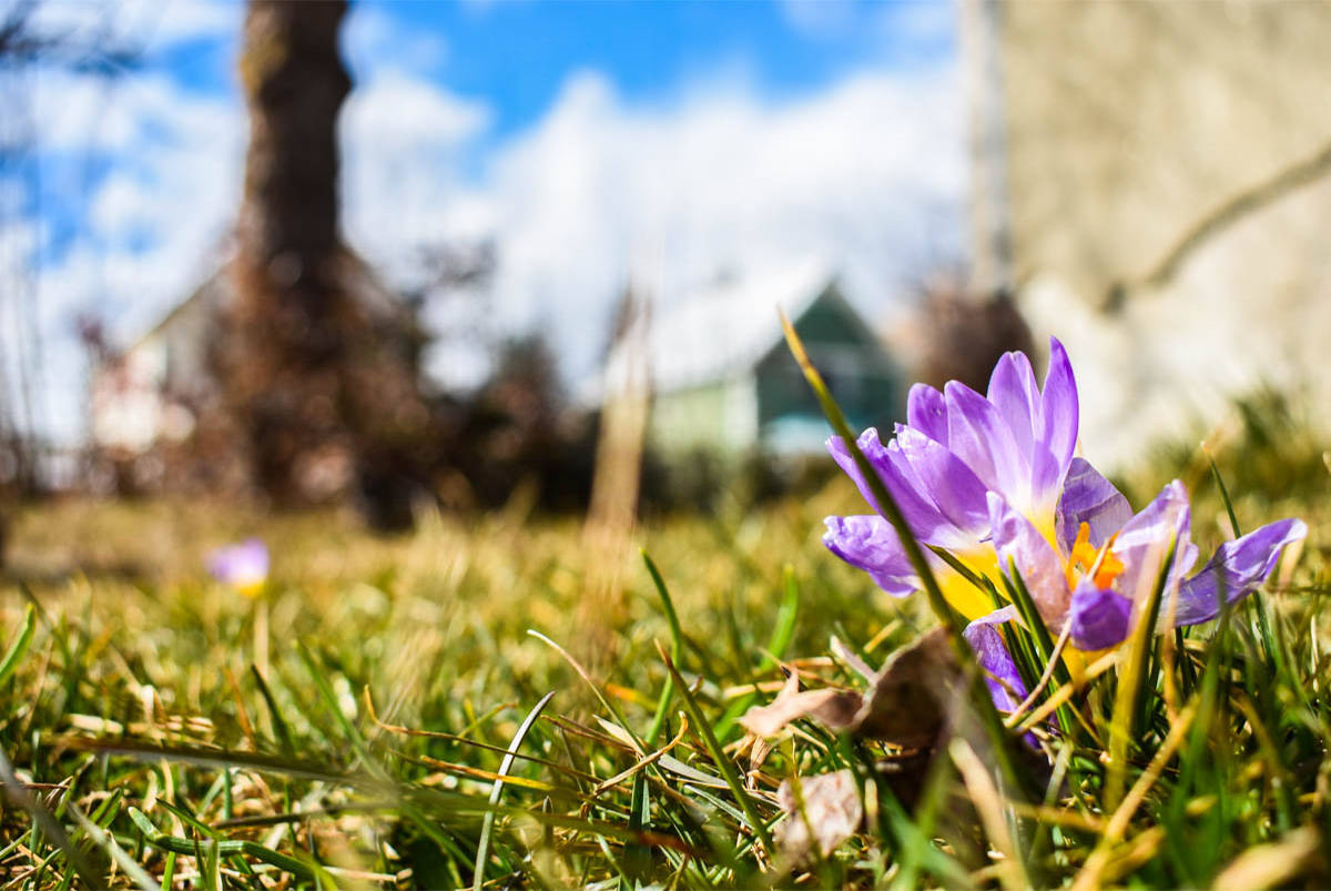 Spring Melting Wallpapers - Wallpaper Cave