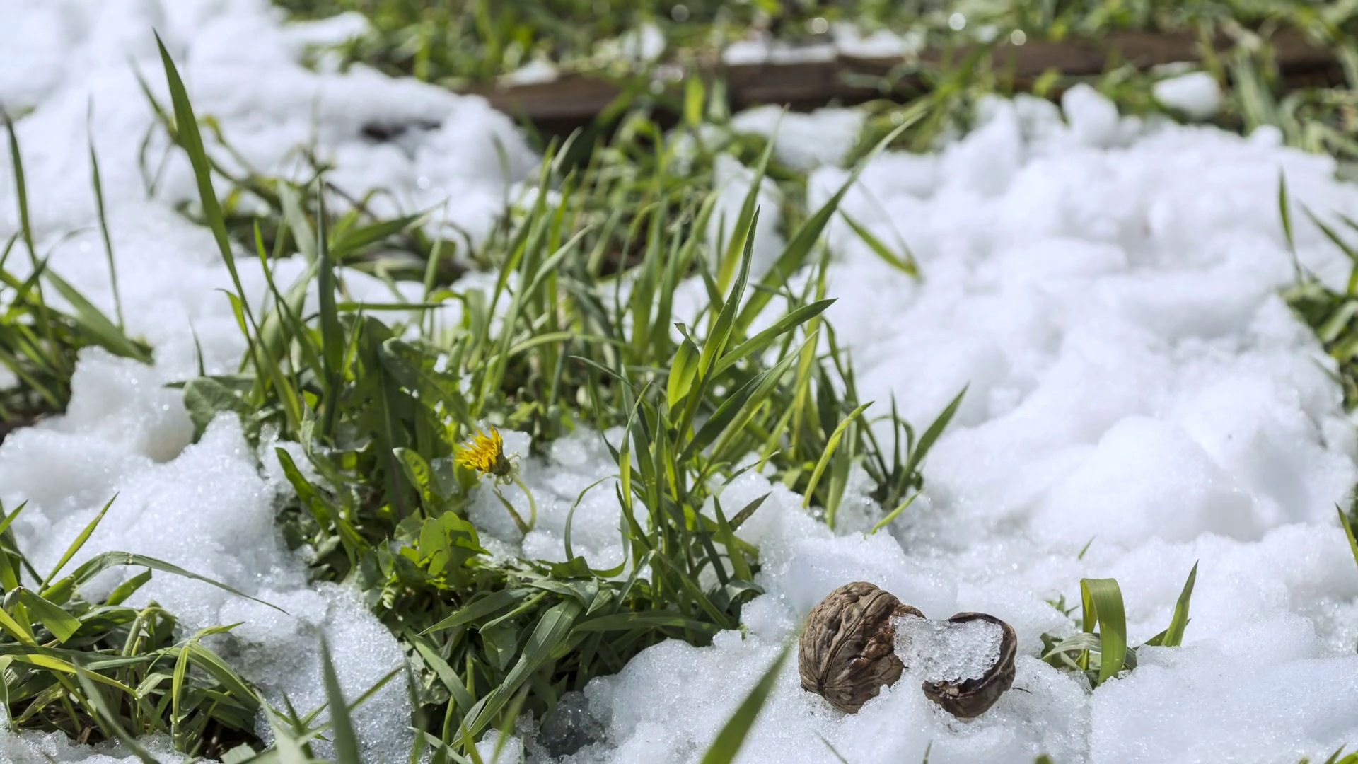 Spring Melting Wallpapers - Wallpaper Cave